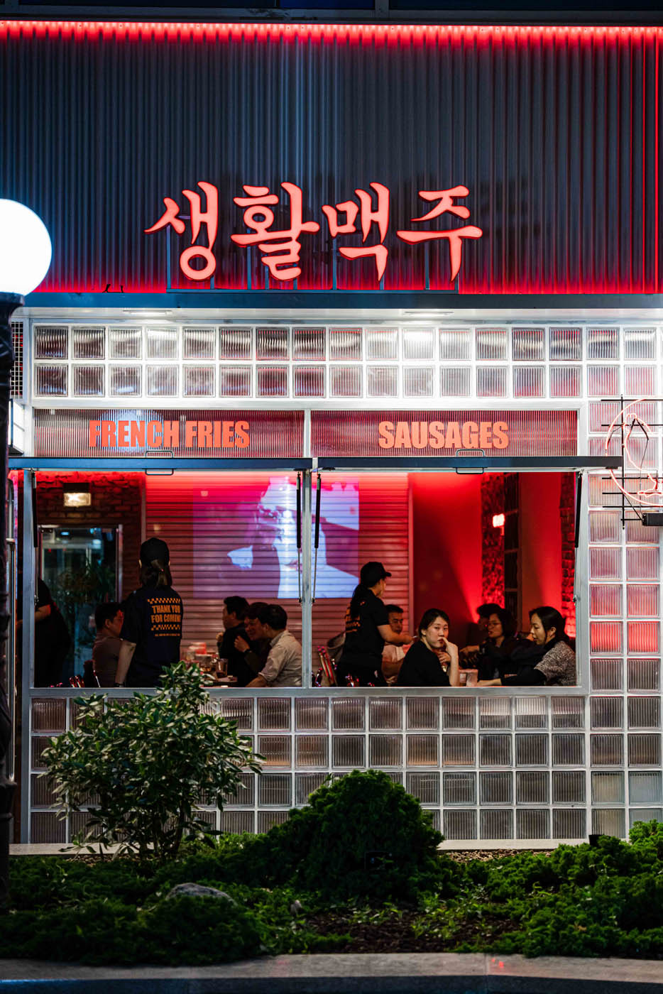 Daily Beer | No Beer, No Work! – The first international Daily Beer ...